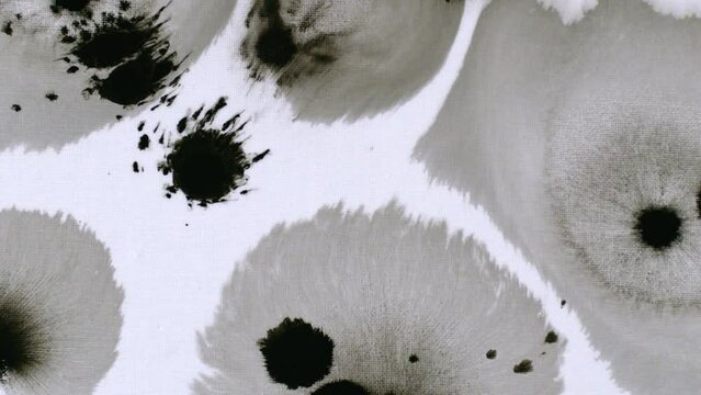 "Ink Overlay" Images – Browse 394 Stock Photos, Vectors, and Video ...