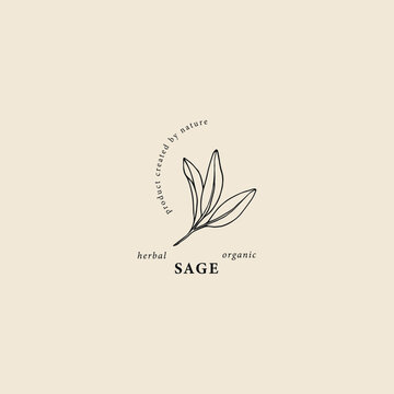 Sage Logo Images – Browse 3,269 Stock Photos, Vectors, and Video ...