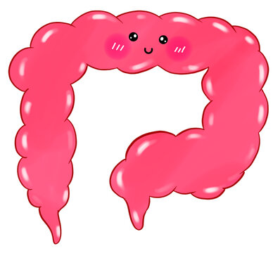 Cartoon Large Intestine