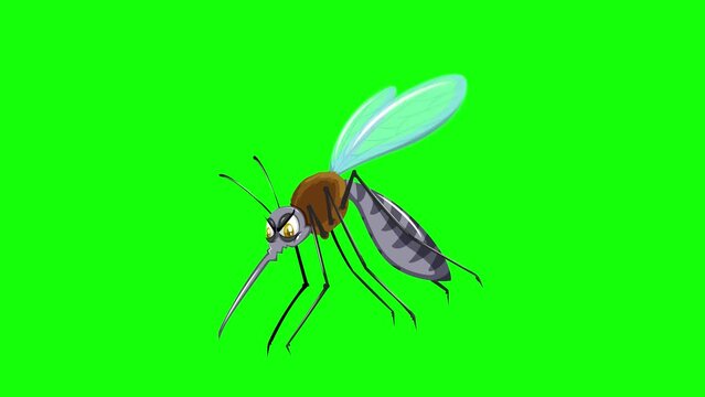 Mad Mosquito Cartoon Images – Browse 926 Stock Photos, Vectors, and ...