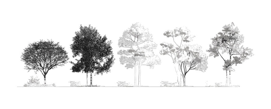 Architectural Tree Images – Browse 177,409 Stock Photos, Vectors, and ...