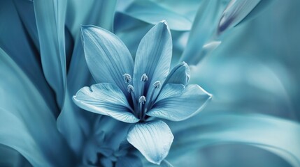 25+ Free blue flower aesthetic pictures - Pikwizard