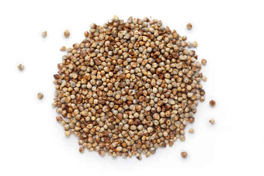 Bajra Images – Browse 1,883 Stock Photos, Vectors, and Video | Adobe Stock