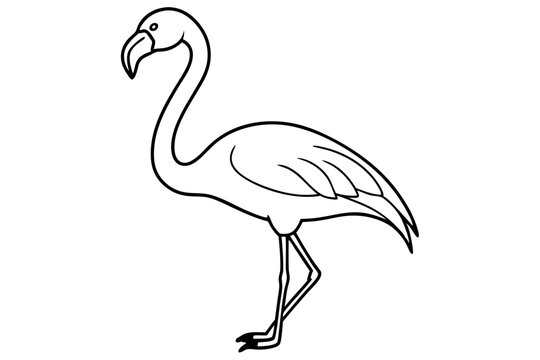 Flamingo Line Drawing Images – Browse 12,242 Stock Photos, Vectors, and ...