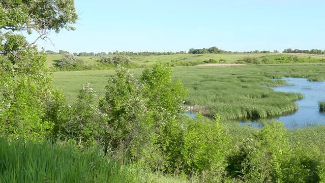 "Prairie Landscape" Images – Browse 1,216 Stock Photos, Vectors, and ...