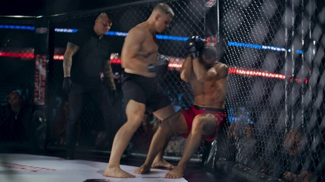 "Tko Images – Browse 1,189 Stock Photos, Vectors, and Video | Adobe Stock