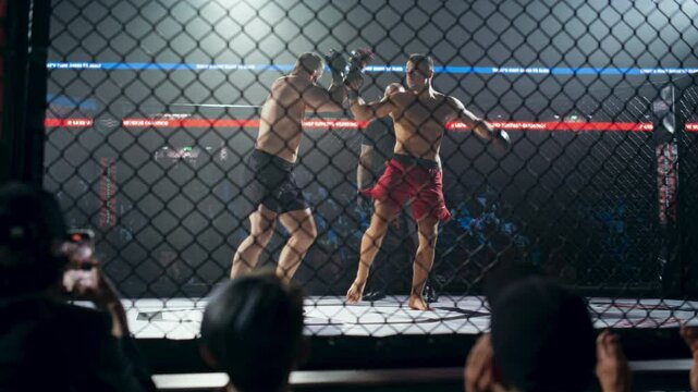 "Knock Out" Images – Browse 41,166 Stock Photos, Vectors, and Video ...