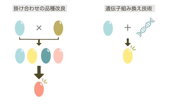 "Artificial Selection" Images – Browse 37,594 Stock Photos, Vectors ...