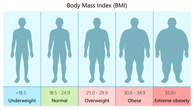 「Body Mass Index Chart」の写真素材 | 1,196件の無料イラスト画像 | Adobe Stock