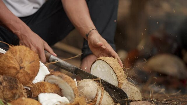 Hand-Tools Images – Browse 102,183 Stock Photos, Vectors, and Video ...