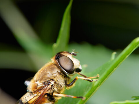 Zangano Images – Browse 55 Stock Photos, Vectors, and Video | Adobe Stock