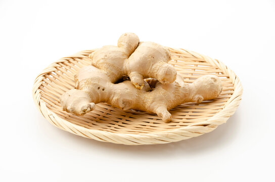 "Ginger Family" Images – Browse 5,075 Stock Photos, Vectors, and Video ...