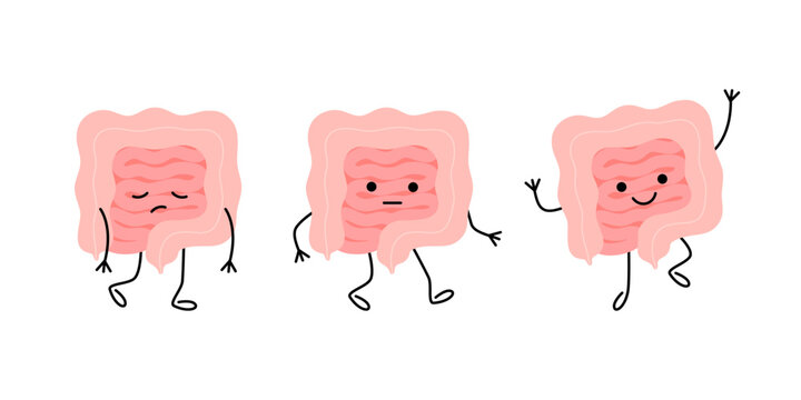 Small Intestine Cute Cartoon
