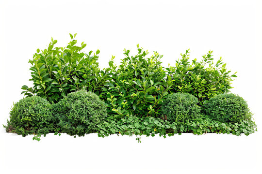 Cut Out"」の写真素材 | 3,230,738件の無料イラスト画像 | Adobe Stock