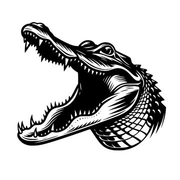 Alligator Head Vector Images – Browse 7,786 Stock Photos, Vectors, and ...