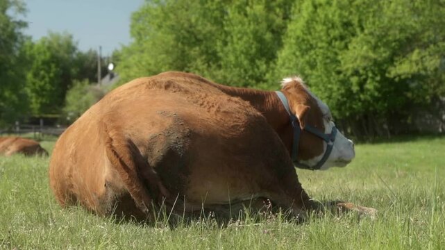 "Keep Away" Images – Browse 2,798 Stock Photos, Vectors, and Video ...