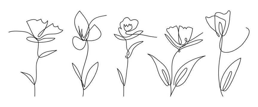 Single Flower Line Drawing Images – Browse 76,439 Stock Photos, Vectors ...