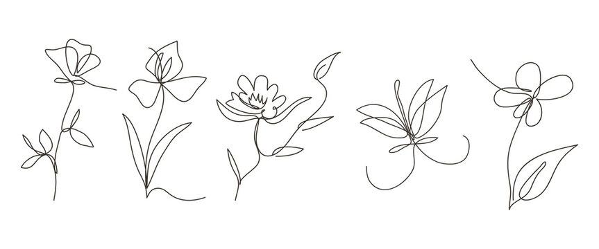 Single Flower Line Drawing Images – Browse 76,439 Stock Photos, Vectors ...