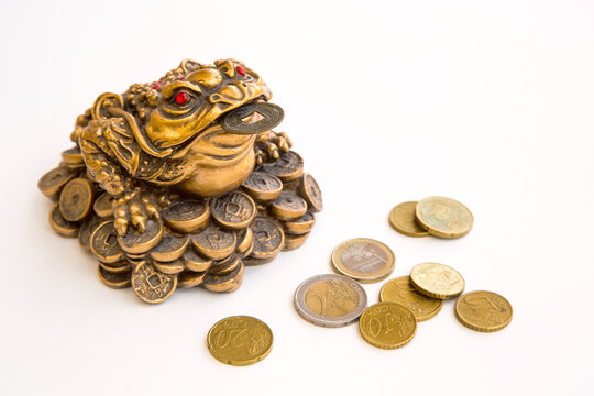 "Money Frog" Images – Browse 79 Stock Photos, Vectors, and Video ...