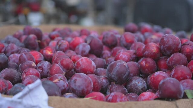 "Plums Fruit" Images – Browse 540 Stock Photos, Vectors, and Video ...