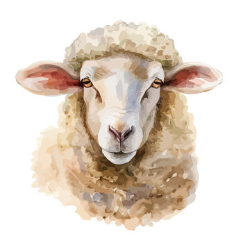 "Sheep Illustration" Images – Browse 1,629 Stock Photos, Vectors, and ...