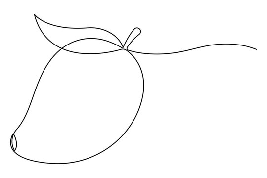 Mango Line Drawing Images – Browse 8,192 Stock Photos, Vectors, and ...