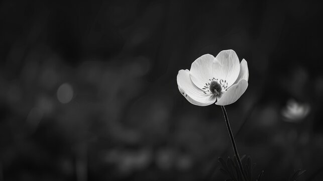 "Tete A Tete" Images – Browse 643 Stock Photos, Vectors, and Video ...