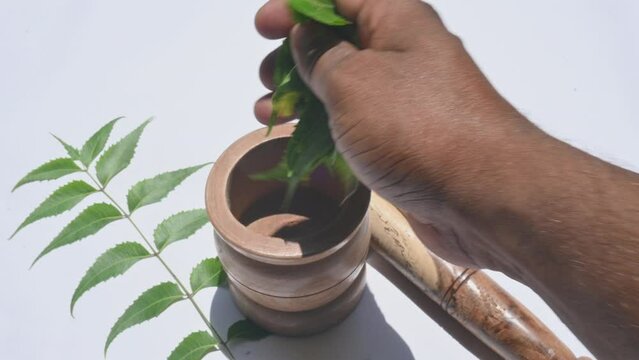 "Neem Leaves" Images – Browse 969 Stock Photos, Vectors, and Video ...