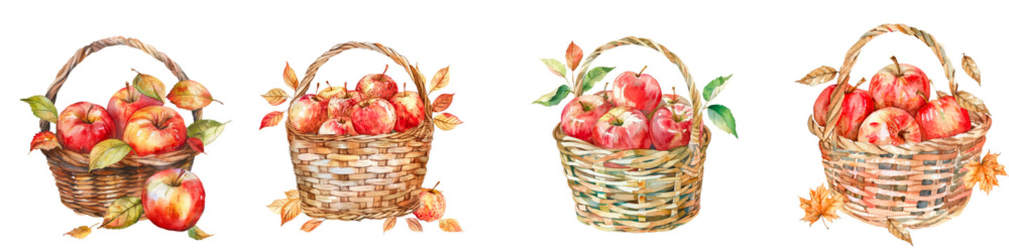 Apple Harvest Basket Images – Browse 260,060 Stock Photos, Vectors, and ...