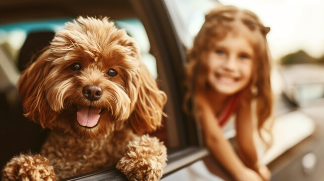 "Cockapoo Dog" Images – Browse 76 Stock Photos, Vectors, and Video ...