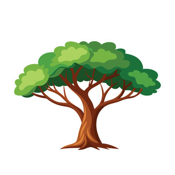 "Iron Tree"-Bilder: Stock-Fotos & -Videos. | Adobe Stock