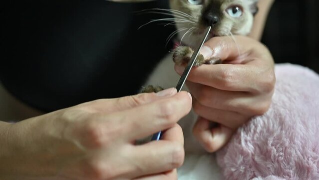 "Nail File" - Images et vidéos libres de droits | Adobe Stock