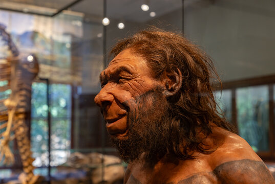 「Proto-Human」の写真素材 | 4,015件の無料イラスト画像 | Adobe Stock