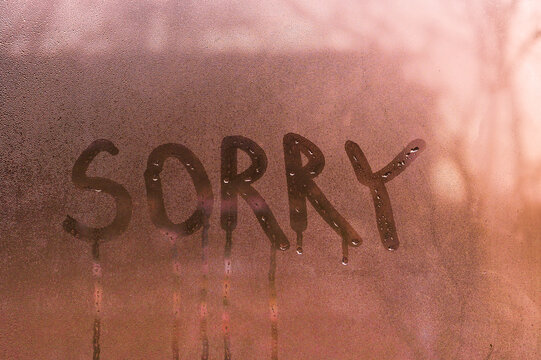 Images Of Sorry In Pictures