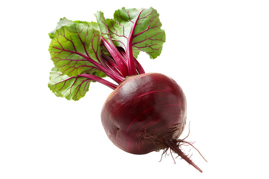 Beetroot White Background Images – HD & 4K Photos Free to Download ...