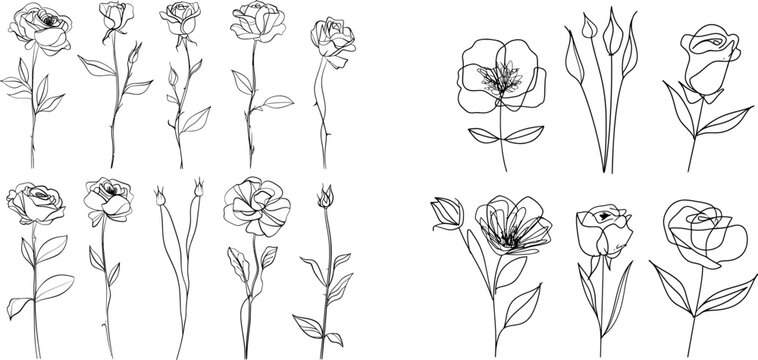 Single Flower Line Drawing Images – Browse 66,675 Stock Photos, Vectors ...