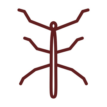 "Stick Insect" Images – Browse 4,199 Stock Photos, Vectors, and Video ...