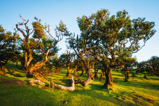 รูปภาพFanal – เลือกดูภาพถ่ายสต็อก เวกเตอร์ และวิดีโอ5,520 | Adobe Stock