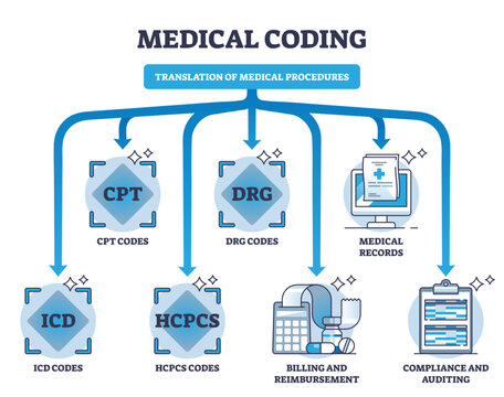 Medical Billing Coding Images – Browse 2,978 Stock Photos, Vectors, and ...