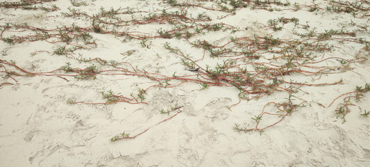 40+ Free Repetition Picture - PikWizard