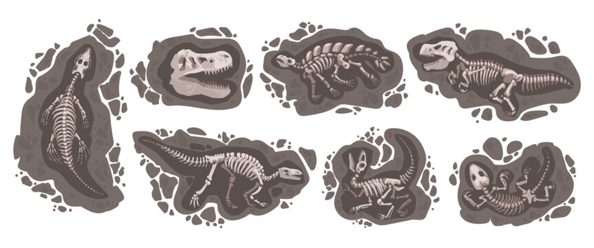Cartoon Fossils Underground Images – Browse 1,324 Stock Photos, Vectors ...