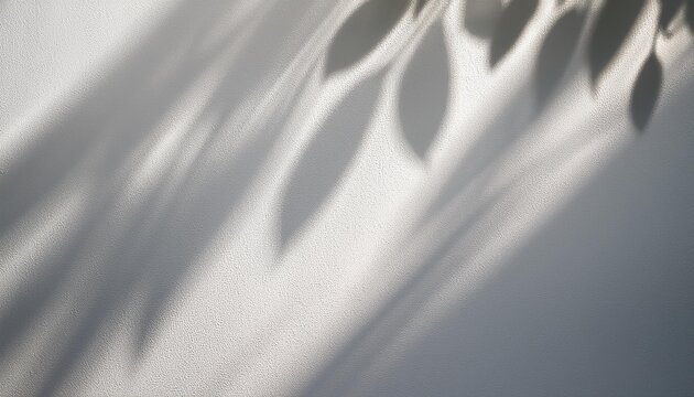 Reflection Backgrounds Images – Browse 6,239,239 Stock Photos, Vectors ...