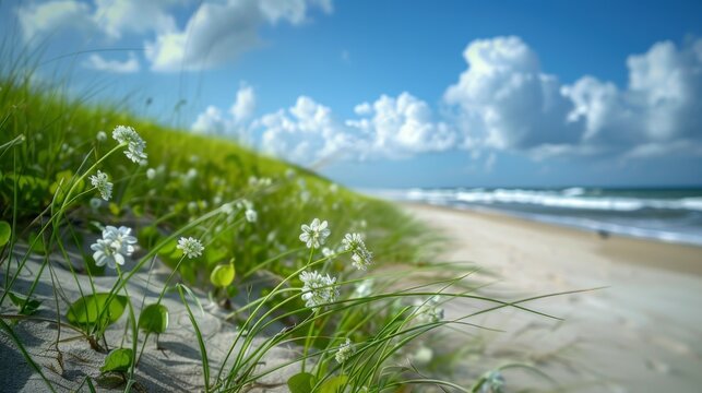 "Coastal Vegetation" Images – Browse 2,025 Stock Photos, Vectors, and ...