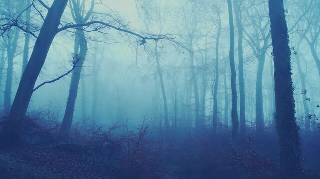 Murder Mystery Background Images – Browse 42,664 Stock Photos, Vectors ...