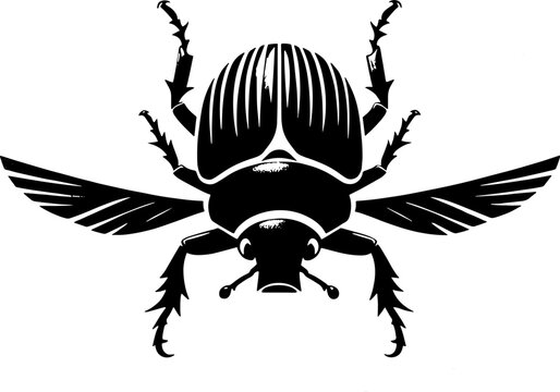 Anobiid Powderpost Beetle Templates – Free Editable Designs | PikWizard
