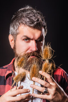 "Beard Oil" Images – Browse 2,074 Stock Photos, Vectors, and Video ...