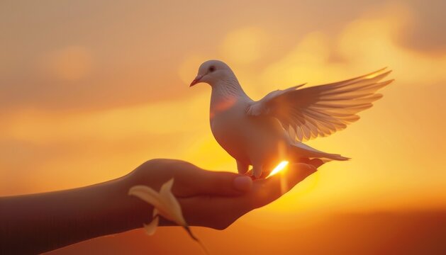 "Symbol Of Harmony" Images – Browse 126 Stock Photos, Vectors, and ...