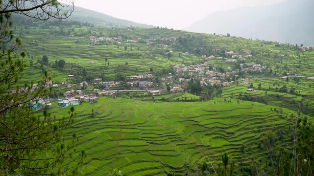 "Step Farming" Images – Browse 309 Stock Photos, Vectors, and Video ...