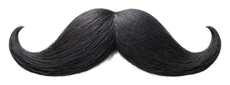 "Fake Mustache" Imagens – Procure 582 fotos, vetores e vídeos | Adobe Stock