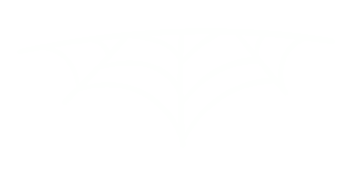 White Cobweb PNGs – Transparent Background Images | PikWizard
